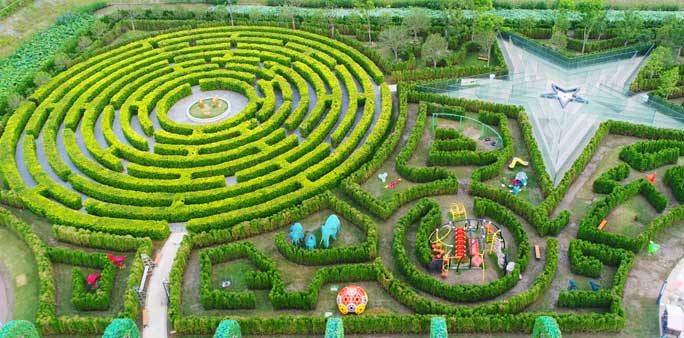 Video: Look round the largest maze which features a path more than 9 km ...