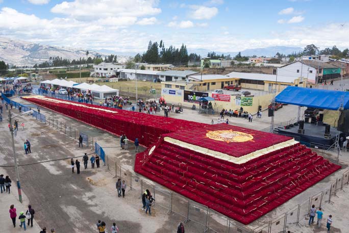 Half a million roses used to recreate pyramid site in huge flower ...