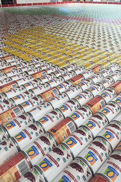 Unique record-breaking elephant image created with cans destined for ...