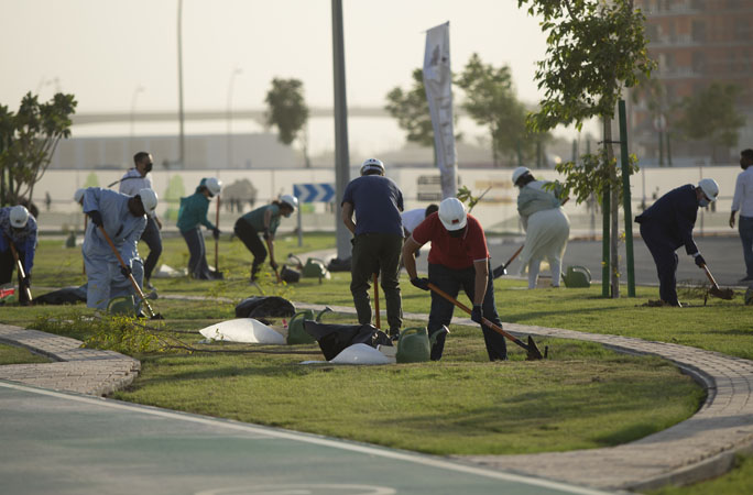 One million trees planted simultaneously in Qatar breaking record ...