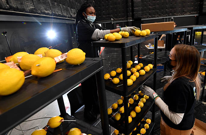Fruit battery made from 2,923 lemons breaks electrifying record ...