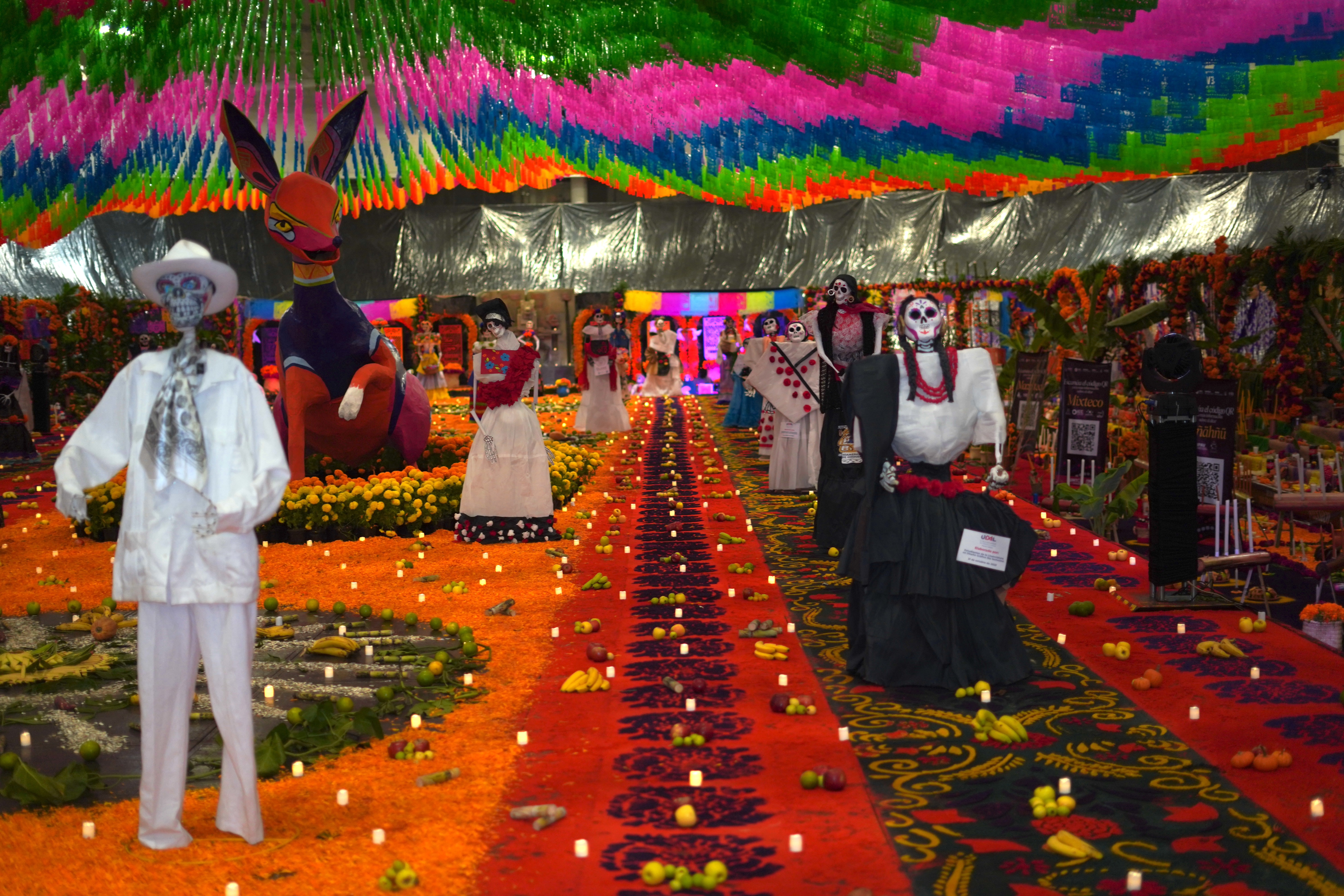 World’s largest Day of the Dead altar highlights beauty of Mexican ...