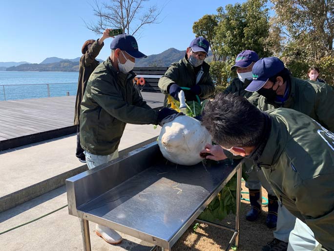 Giant radish that weighs as much as a baby hippo is officially world's ...