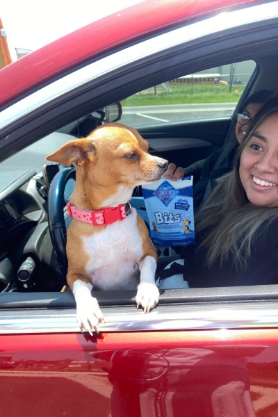 Record-breaking pet food donation exceeds expectations by feeding ...