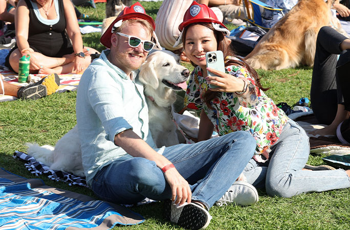 Pawsome scenes as dogs break world record at PAW Patrol premiere ...