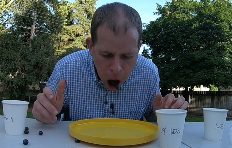 Most blueberries stuffed in the mouth | Guinness World Records