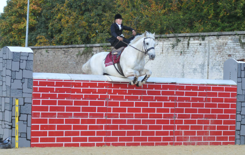 Worlds Tallest Horse Jump Polnisches Halbblut Stute 1 Jahr 168 Cm
