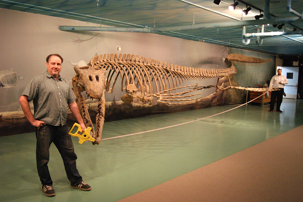 Largest mosasaur on display | Guinness World Records