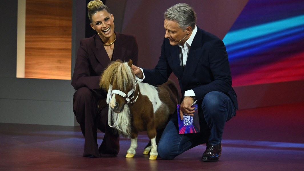 Smallest Horse In The World Guinness Book Of Record