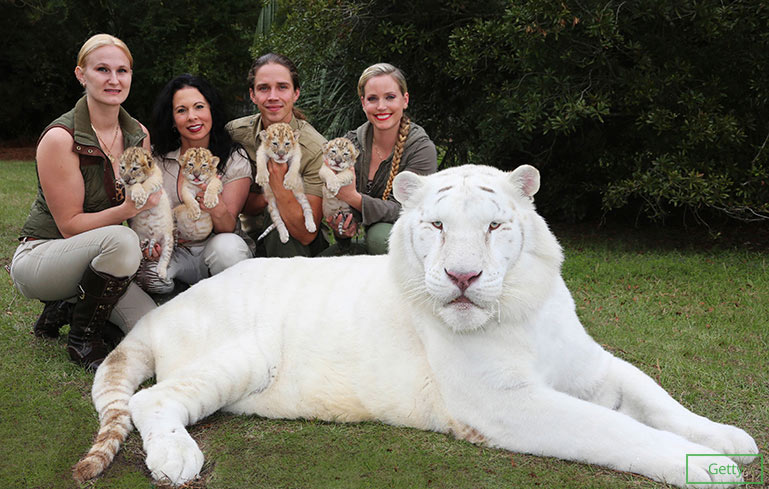 First white ligers | Guinness World Records