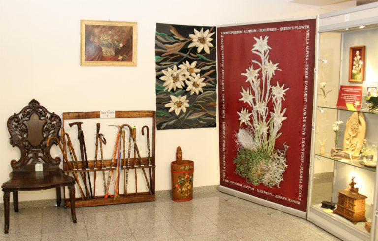 Largest collection of flower related items (single species) | Guinness ...