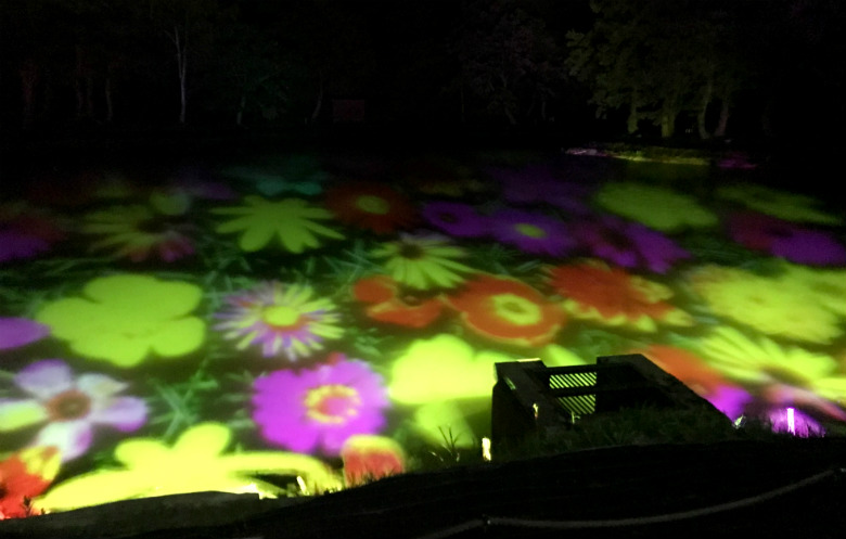 Largest water surface projection | Guinness World Records