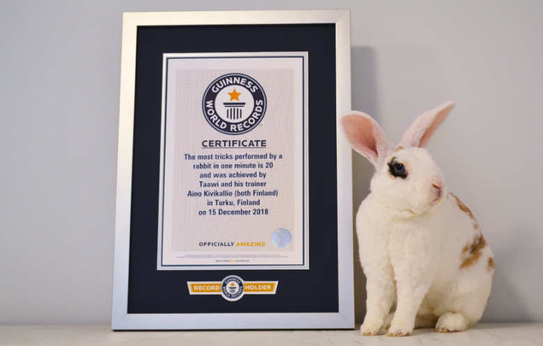 Most tricks performed by a rabbit in one minute | Guinness World Records