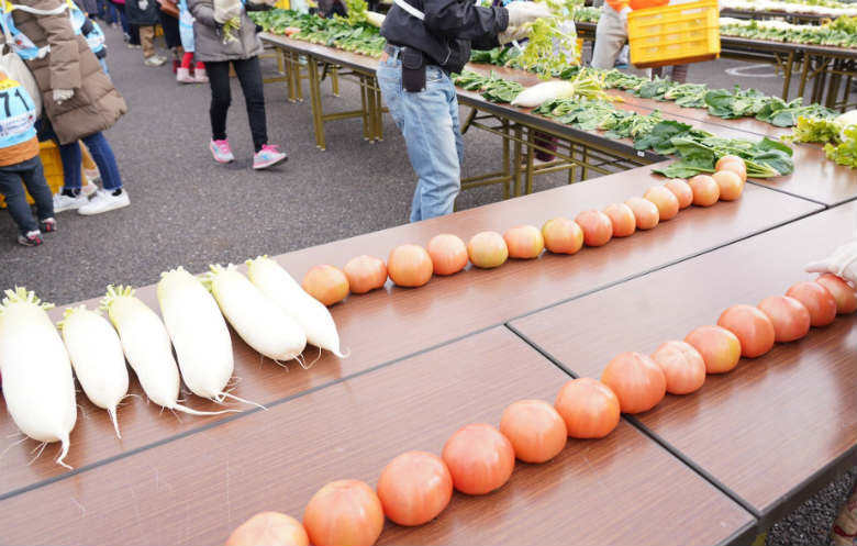Longest line of vegetables | Guinness World Records