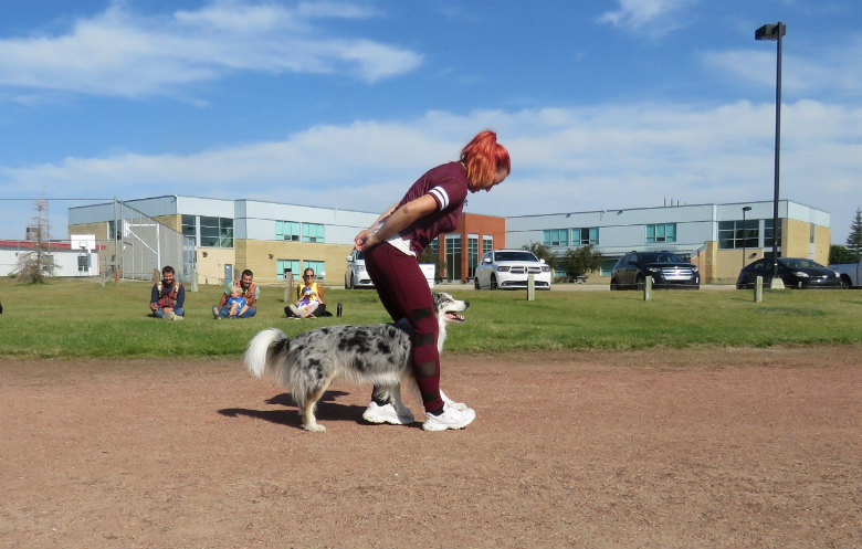 Fastest time to walk 30 metres with a dog's paws on the feet | Guinness ...