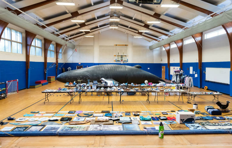 Largest collection of whale-related items | Guinness World Records