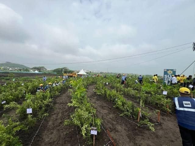 Most trees planted by a team in 24 hours | Guinness World Records