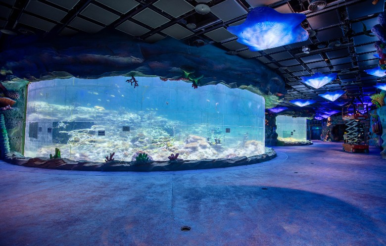 Largest living coral reef exhibit | Guinness World Records