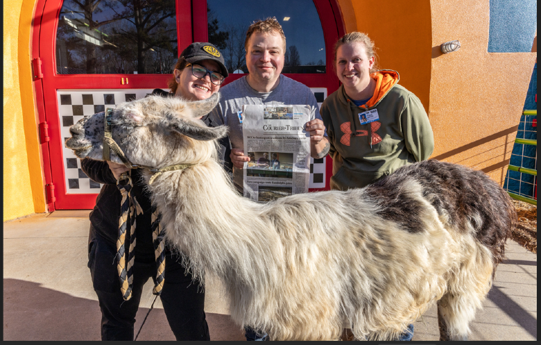 Oldest llama in captivity ever | Guinness World Records