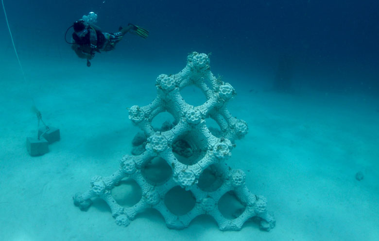 Largest 3D-printed ceramic reef | Guinness World Records