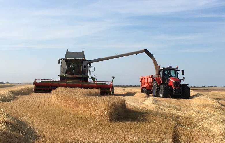 Highest barley yield | Guinness World Records