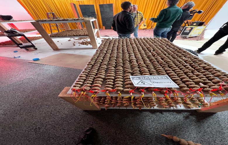 Highest wattage from a potato battery | Guinness World Records