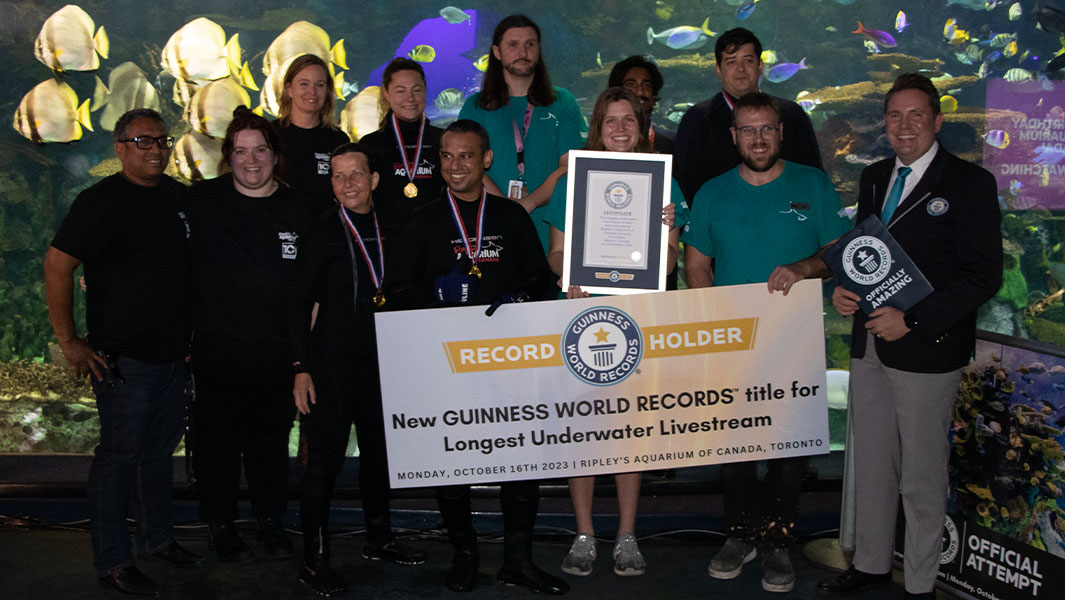 Longest underwater live-stream (video) | Guinness World Records