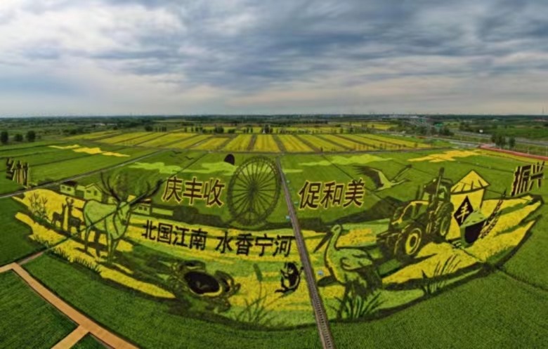 Largest anamorphic crop field mosaic (image) | Guinness World Records
