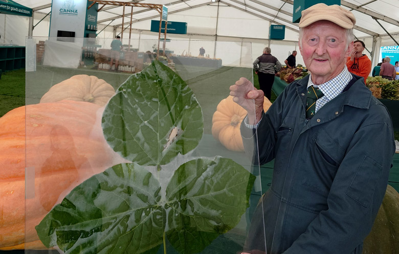 Largest runner bean leaf | Guinness World Records