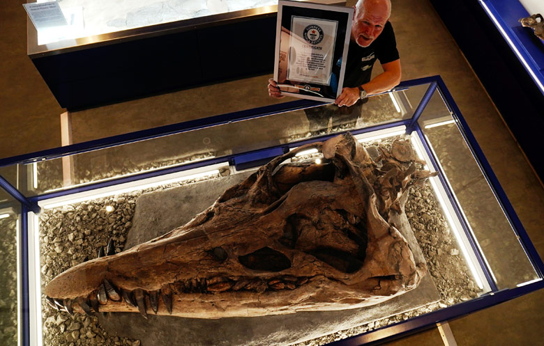Most complete Pliosaurus skull | Guinness World Records