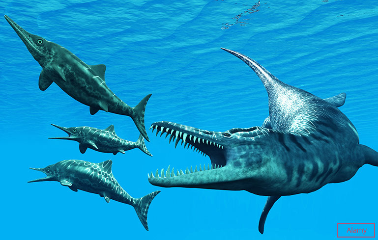 Largest plesiosaur | Guinness World Records