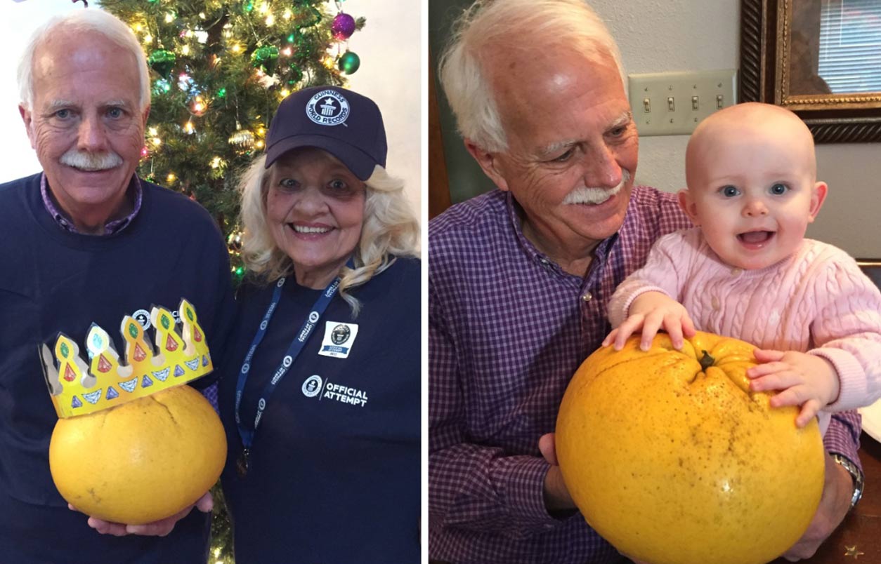 Largest grapefruit by circumference | Guinness World Records