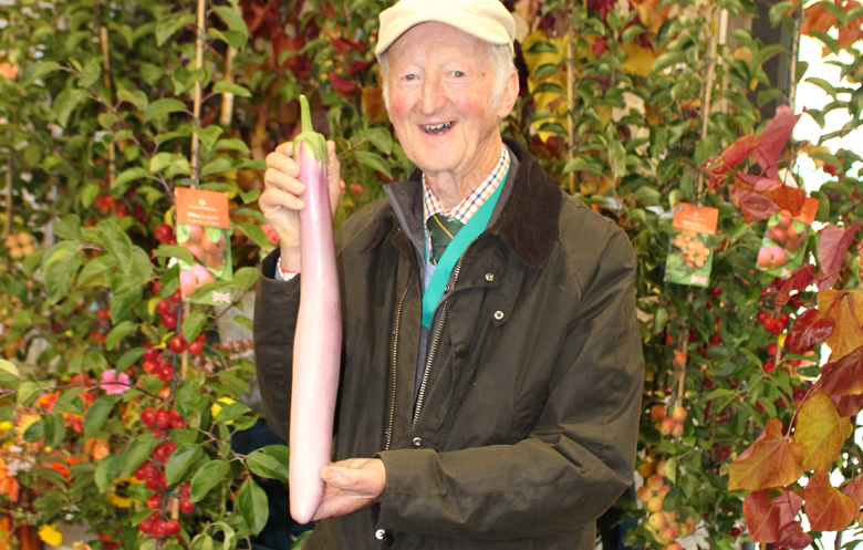 Longest eggplant / aubergine | Guinness World Records
