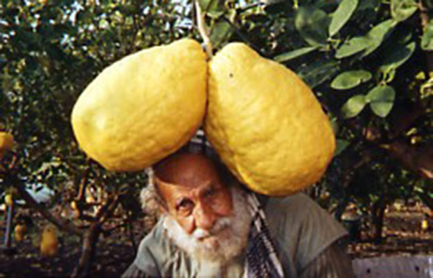 Heaviest lemon | Guinness World Records
