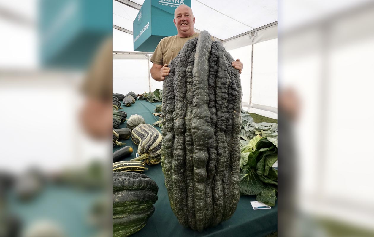 Heaviest marrow | Guinness World Records