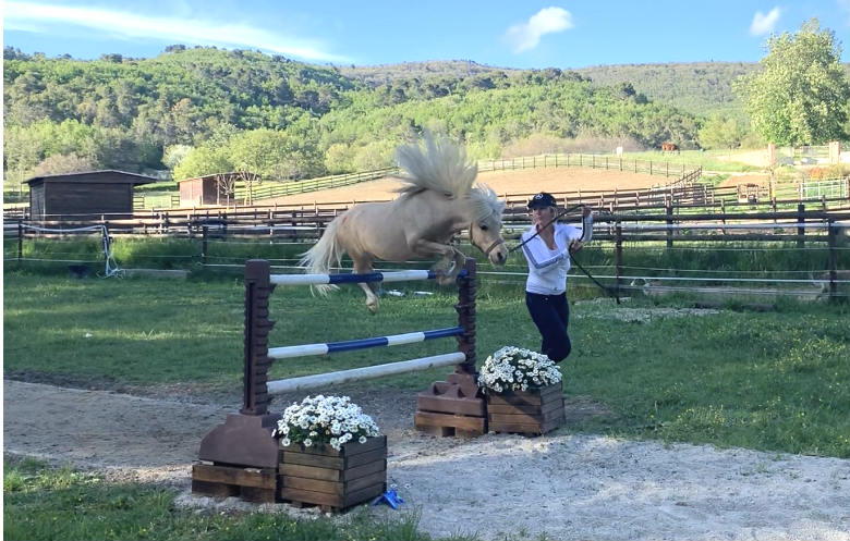 Highest jump by a miniature horse | Guinness World Records