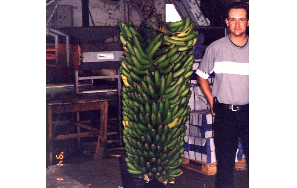 Largest bunch of bananas | Guinness World Records
