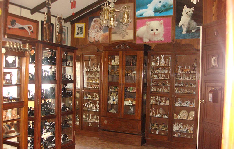 Largest collection of cat-related items | Guinness World Records