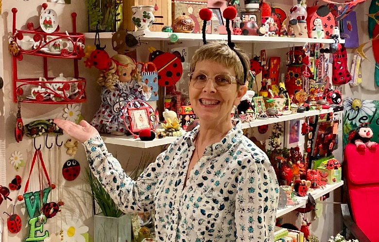 Largest collection of ladybird / ladybug related items | Guinness World ...