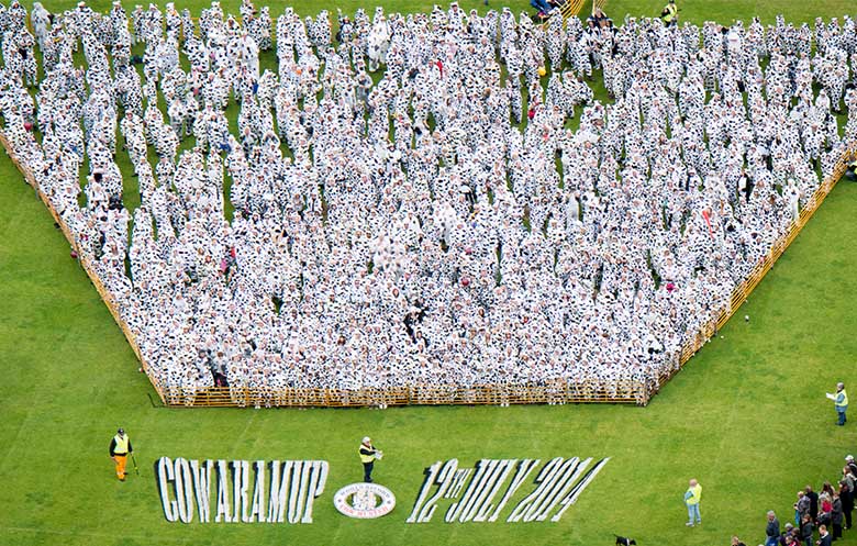 Largest gathering of people dressed as cows | Guinness World Records