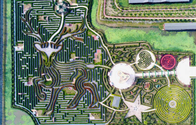 Largest hedge maze (permanent) | Guinness World Records