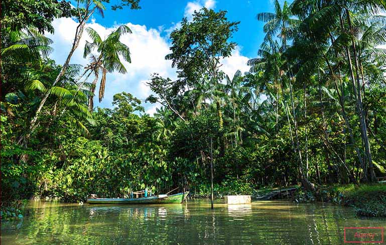 Largest tropical wetland | Guinness World Records