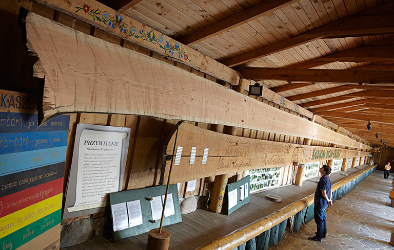Longest board cut from one tree | Guinness World Records