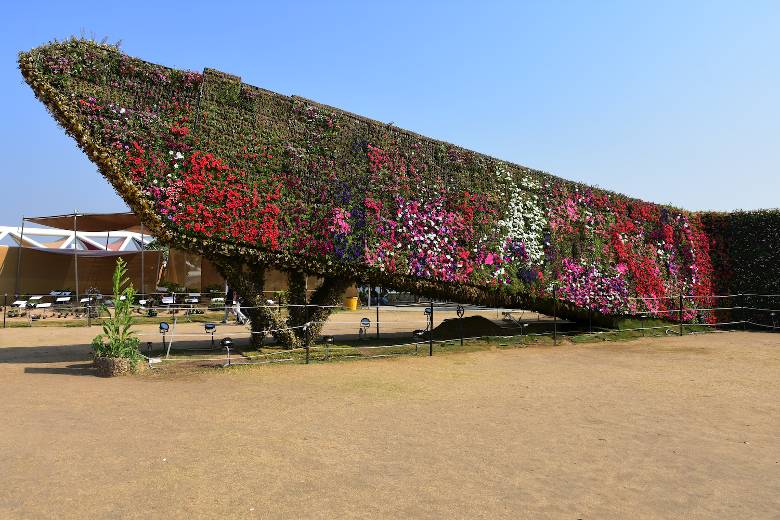 Longest flower structure | Guinness World Records
