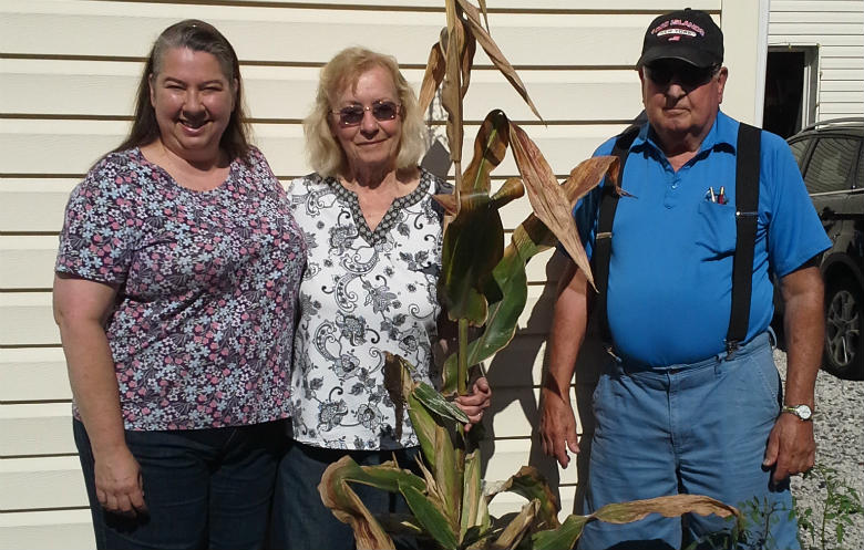 Most corn cobs on a single plant | Guinness World Records