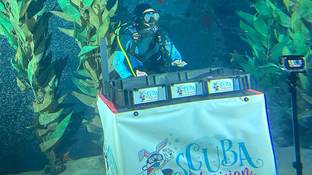 Most magic tricks underwater in three minutes | Guinness World Records