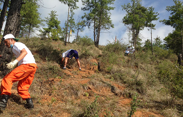 Most trees planted in one hour by a team of 100 people (single location ...